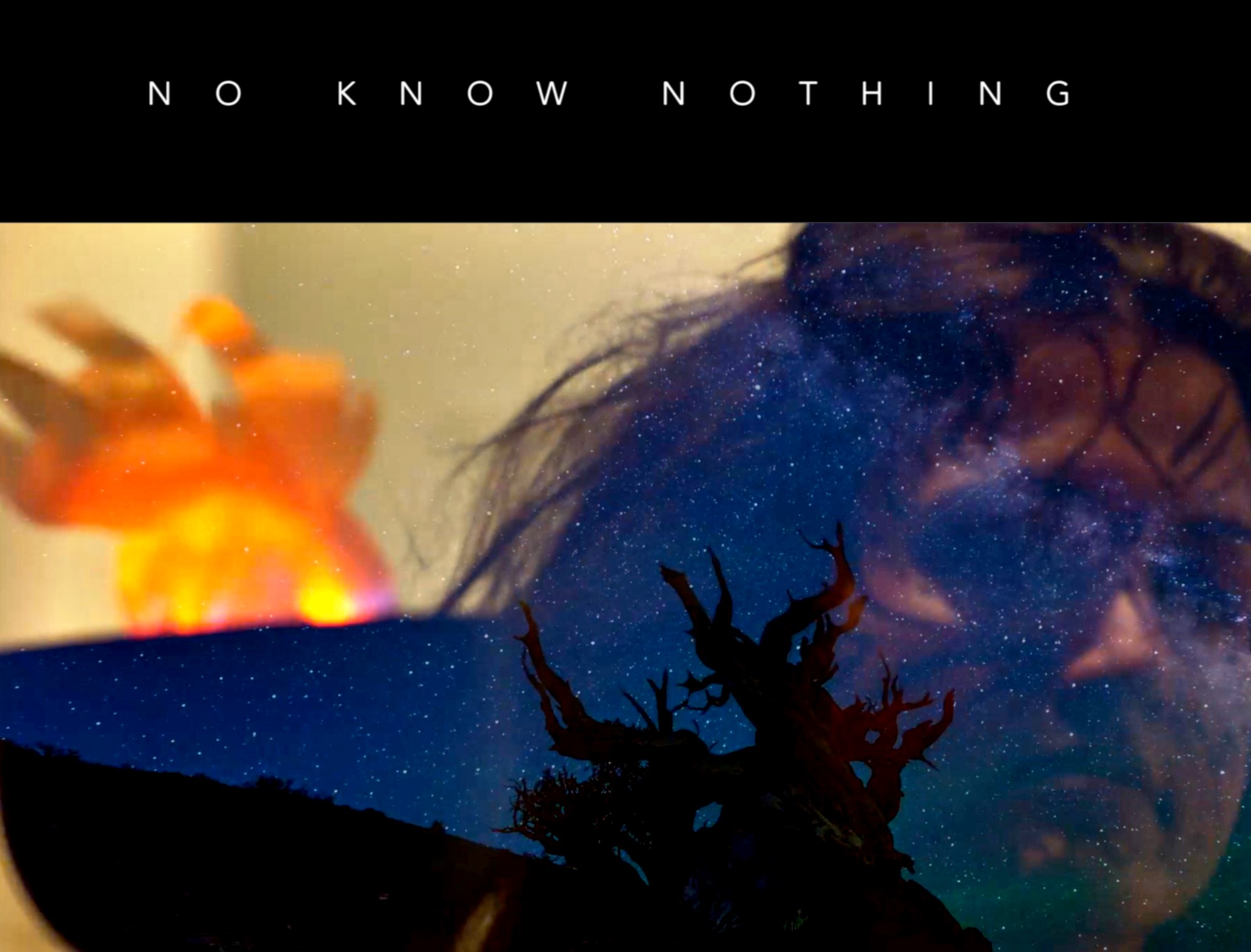 No Know Nothing - Film Premiere - Leepa-Rattner Museum of Art