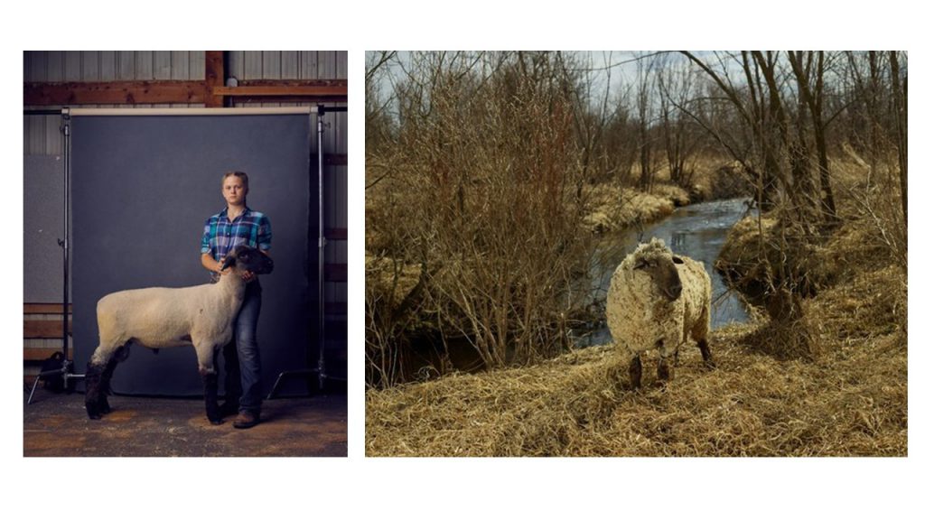 Focus Friday - Artist Talk with R.J. Kern - Leepa-Rattner Museum of Art