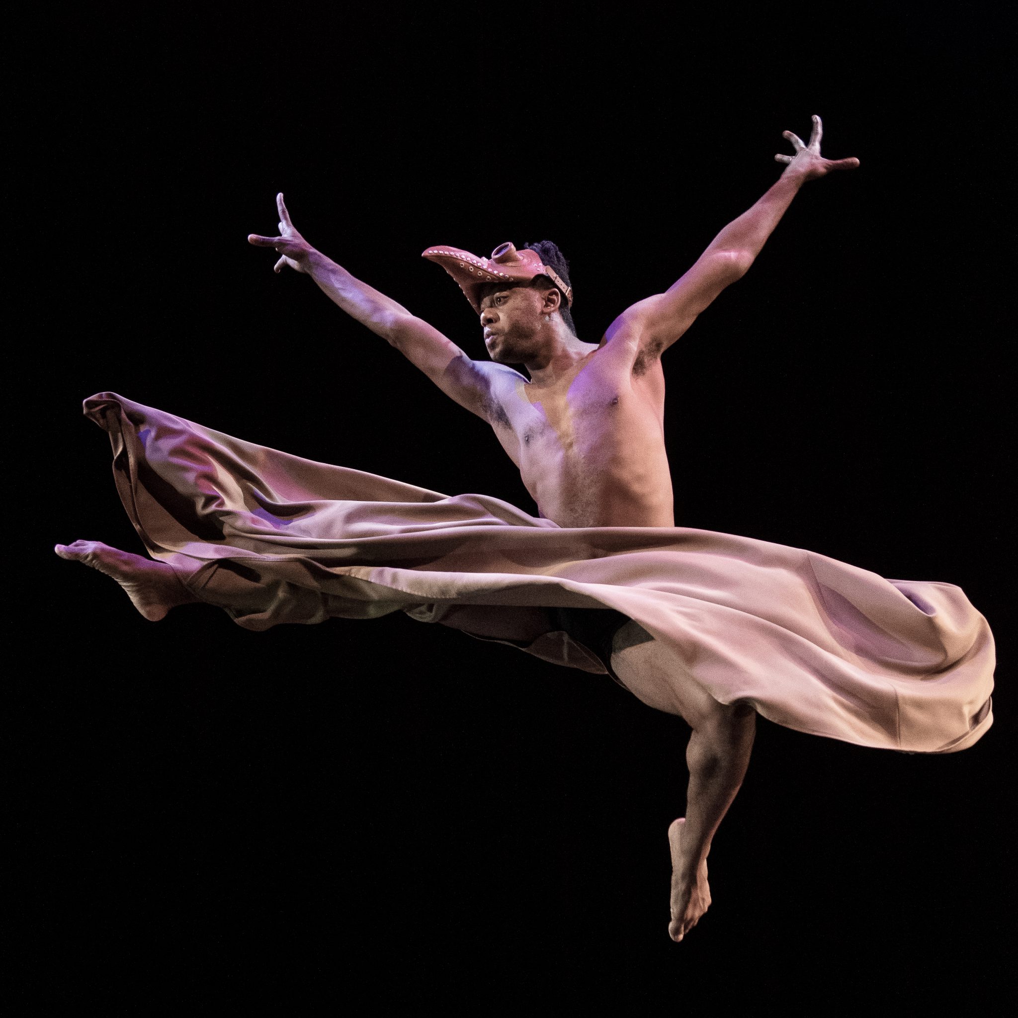 The Palladium Series: The Other Side of Dance - Leepa-Rattner Museum of Art